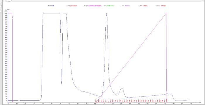 Solved Protein Purification chromatogramExplain what the | Chegg.com
