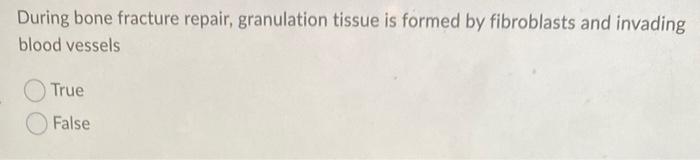 Solved The coronal plane is a cut dividing the body into | Chegg.com