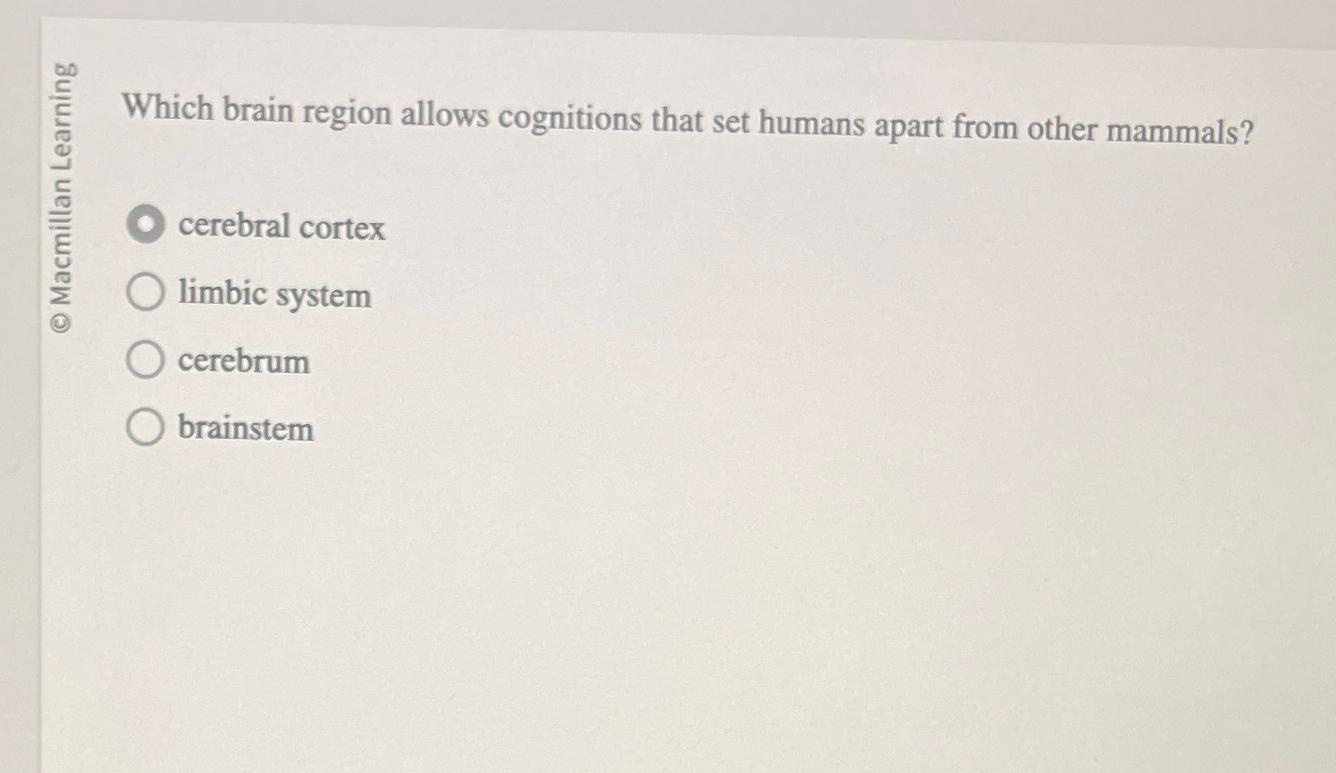 Solved Which brain region allows cognitions that set humans | Chegg.com
