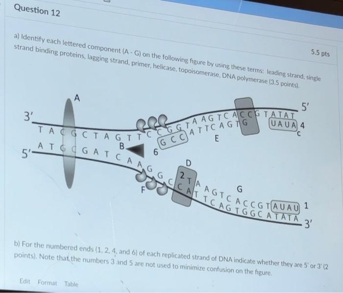 Solved a) Identify each lettered component (A - G ) on the | Chegg.com
