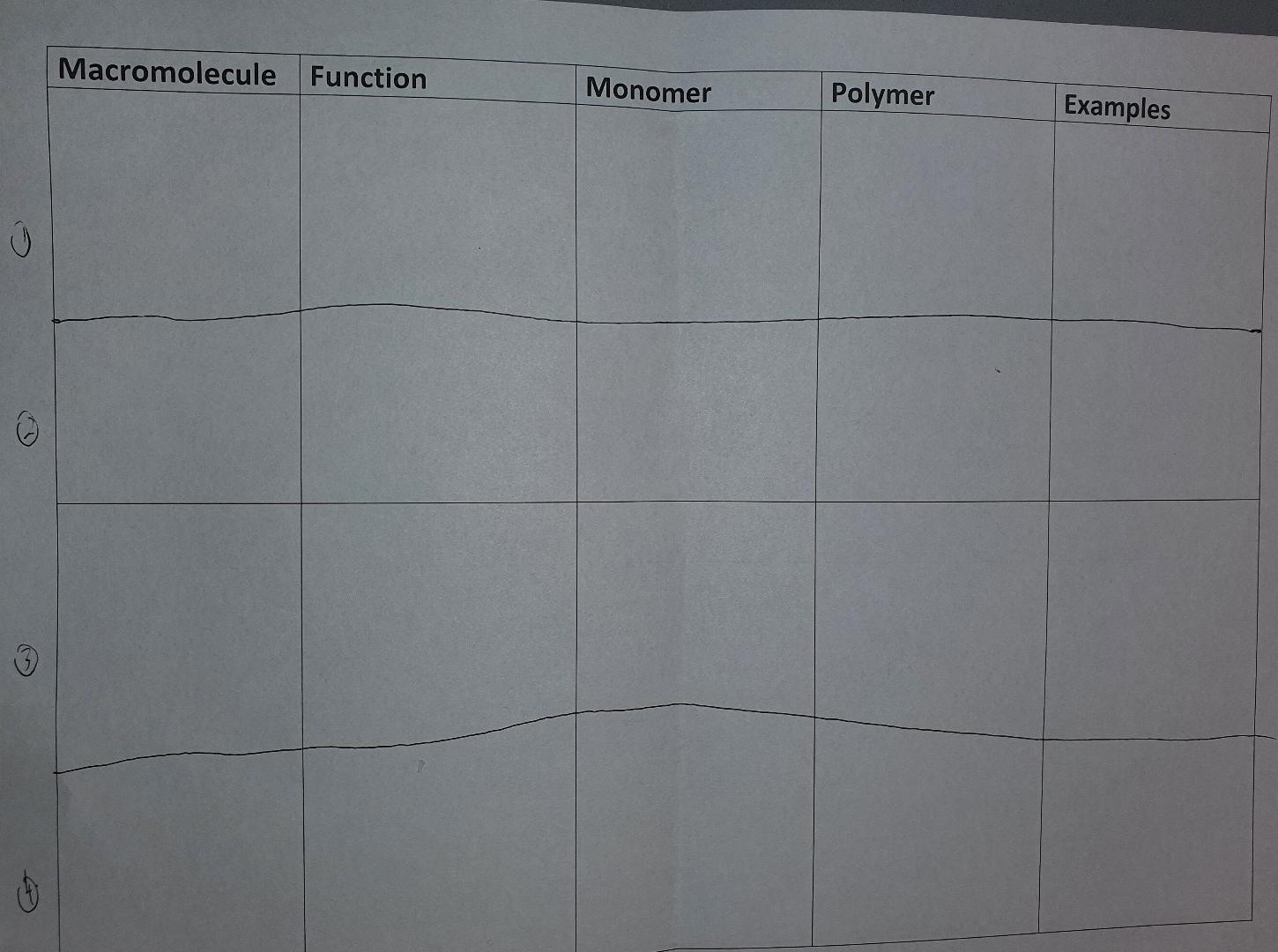 Solved Macromolecule Function Monomer Polymer Examples | Chegg.com