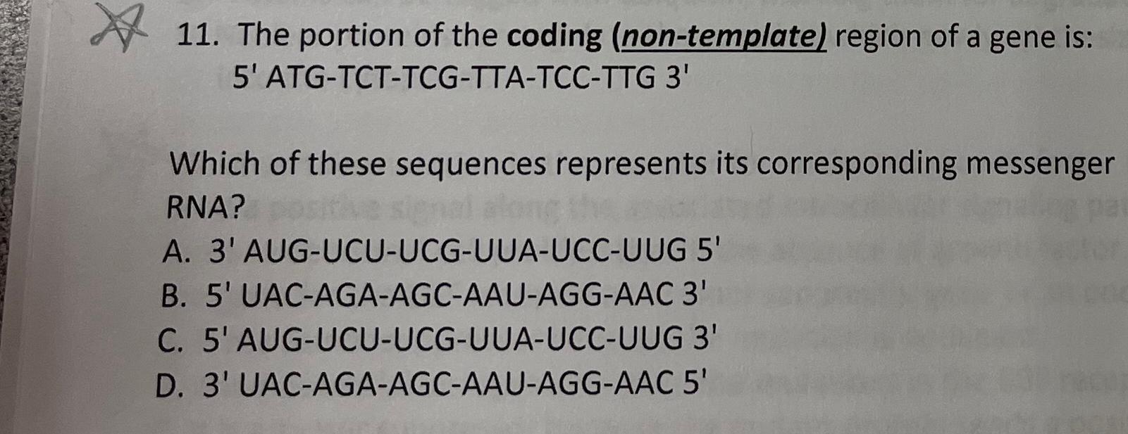 Solved The portion of the coding (non-template) ﻿region of a | Chegg.com