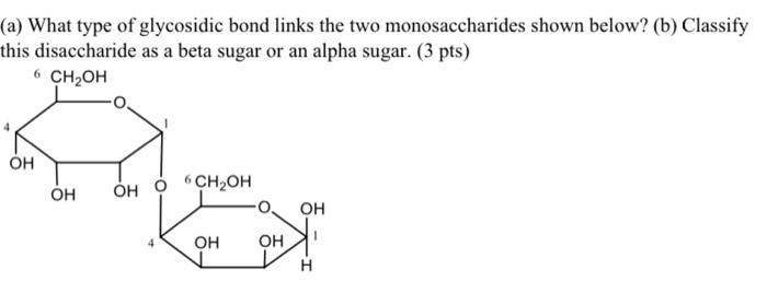 Solved (a) What type of glycosidic bond links the two | Chegg.com