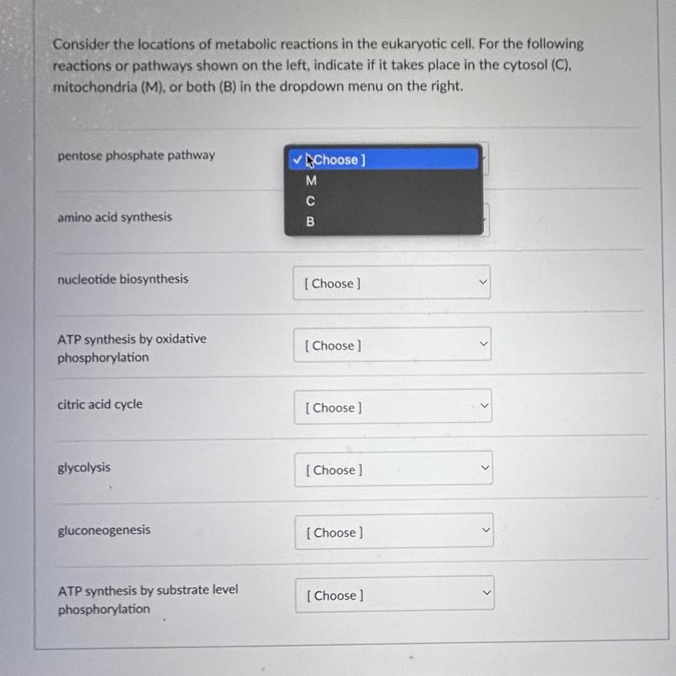 Solved Consider the locations of metabolic reactions in the | Chegg.com