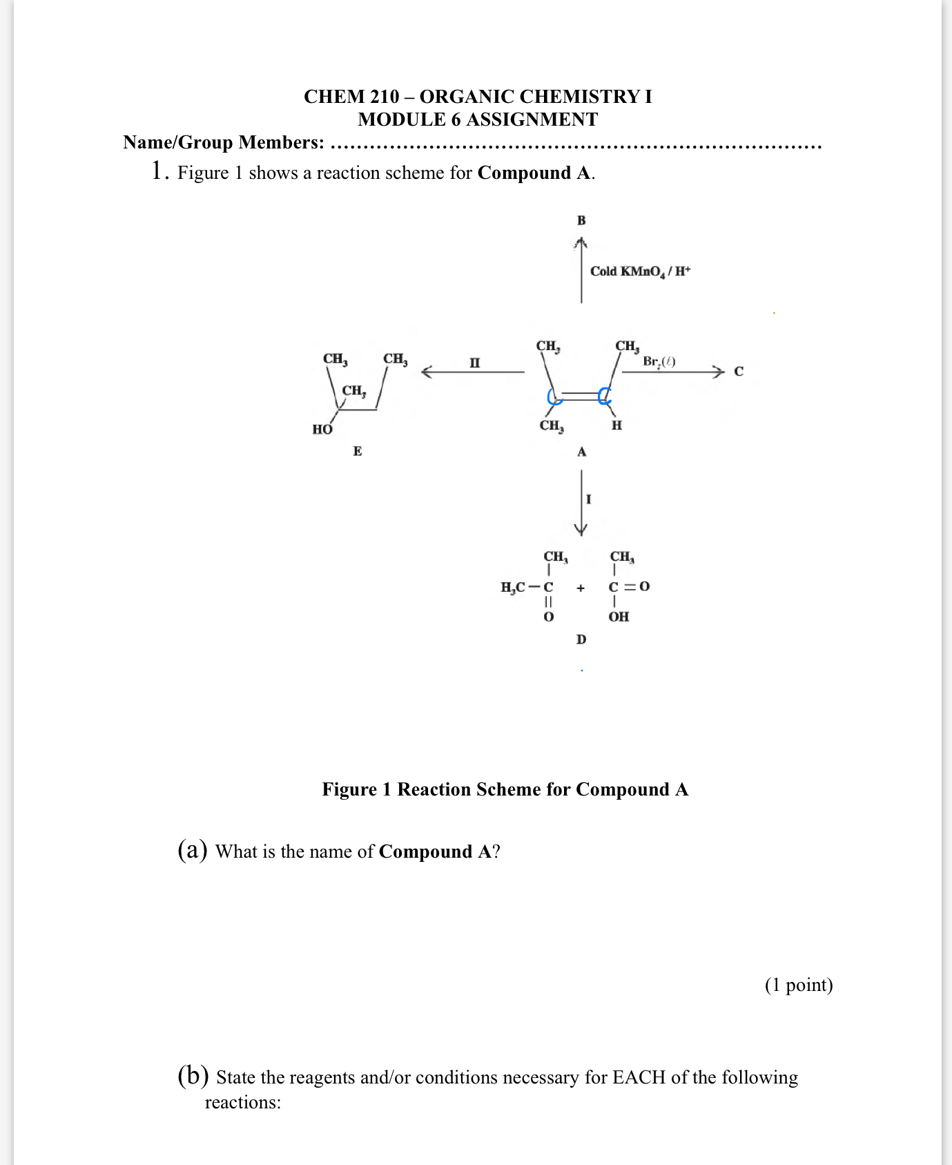 Solved CHEM 210 - ﻿ORGANIC CHEMISTRY I MODULE 6 | Chegg.com