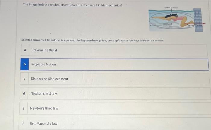 Solved The image below best depicts which concept covered in | Chegg.com