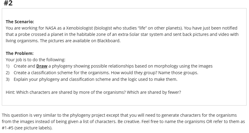 Solved The Scenario:You are working for NASA as a | Chegg.com