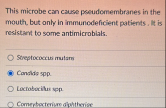 Solved This microbe can cause pseudomembranes in the mouth, | Chegg.com