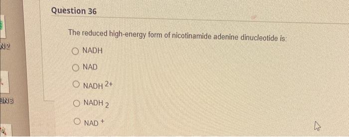 Solved The reduced high-energy form of nicotinamide adenine | Chegg.com