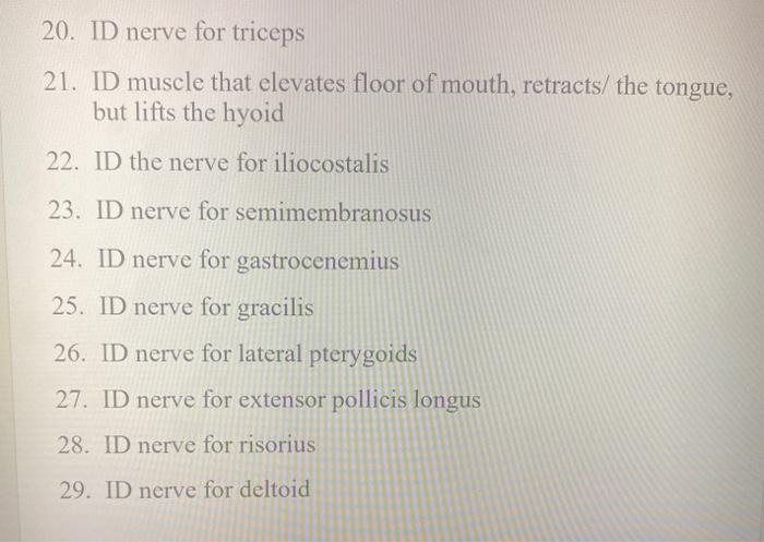 Solved 20. ID nerve for triceps 21. ID muscle that elevates | Chegg.com