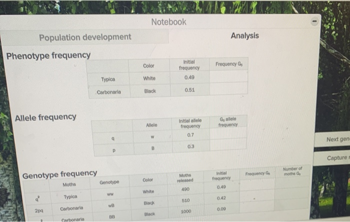 Solved Notebook Population development Analysis Phenotype | Chegg.com