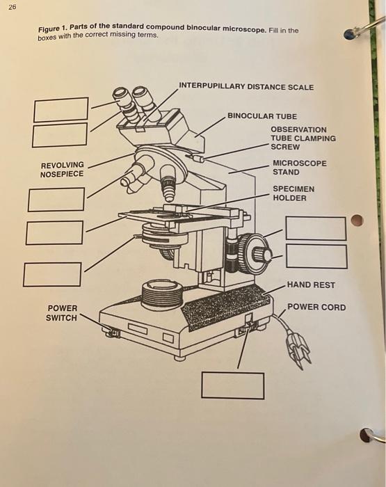 Solved 26 Figure 1. Parts of the standard compound binocular | Chegg.com