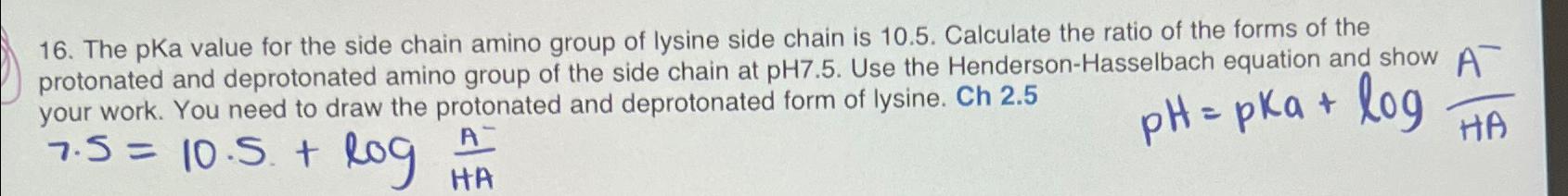 Solved The pKa value for the side chain amino group of | Chegg.com