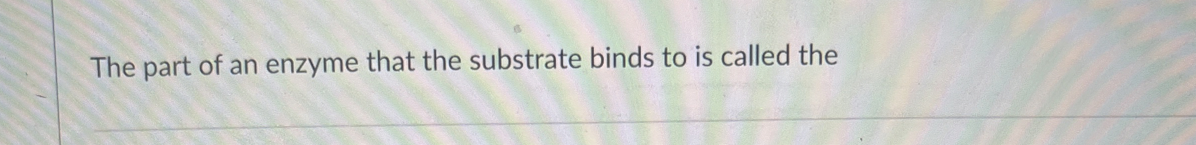 Solved The part of an enzyme that the substrate binds to is | Chegg.com