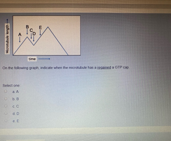 Solved Microtubule length time On the following graph, | Chegg.com