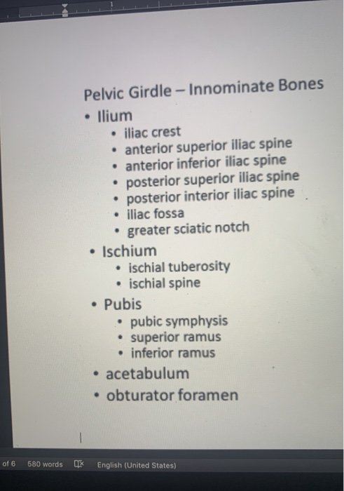Solved Inferior ramus of pubis Lilac crest Ant. Sup. Iliac | Chegg.com