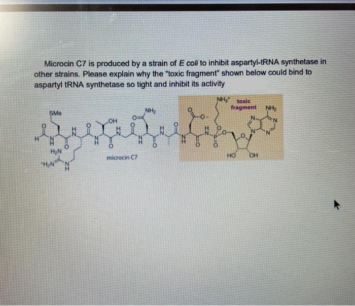 Solved Microcin C7 is produced by a strain of E coli to | Chegg.com