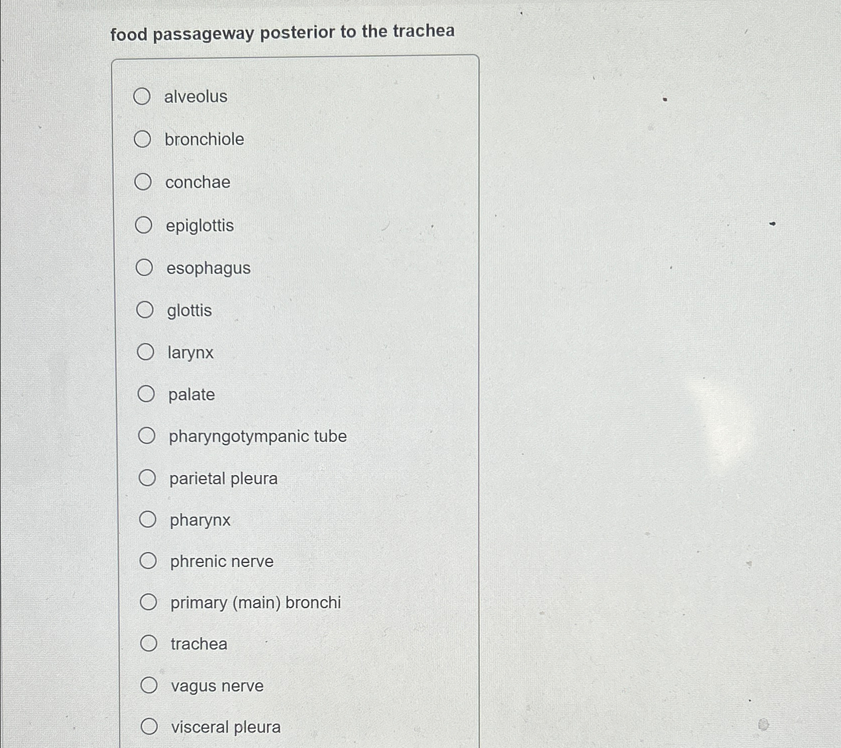 Solved food passageway posterior to the | Chegg.com