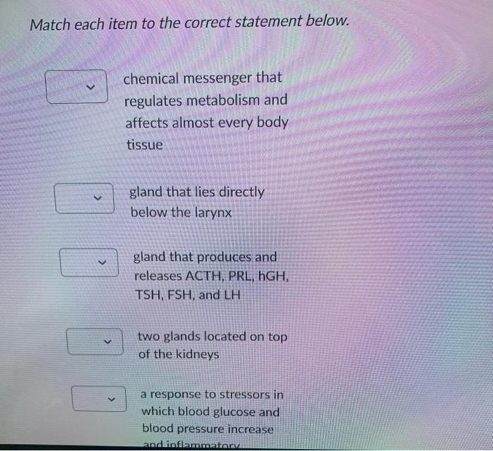Solved Match each item to the correct statement below. | Chegg.com