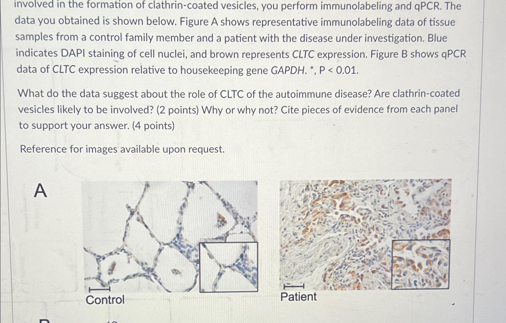 Solved involved in the formation of clathrin-coated | Chegg.com