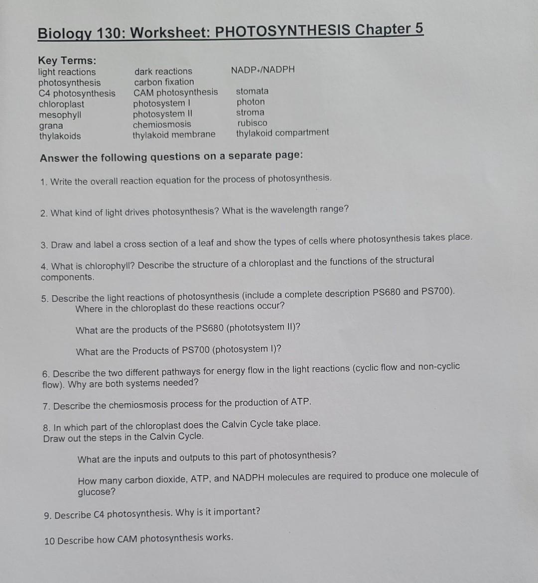 Biology 130: Worksheet: PHOTOSYNTHESIS Chapter 5 | Chegg.com