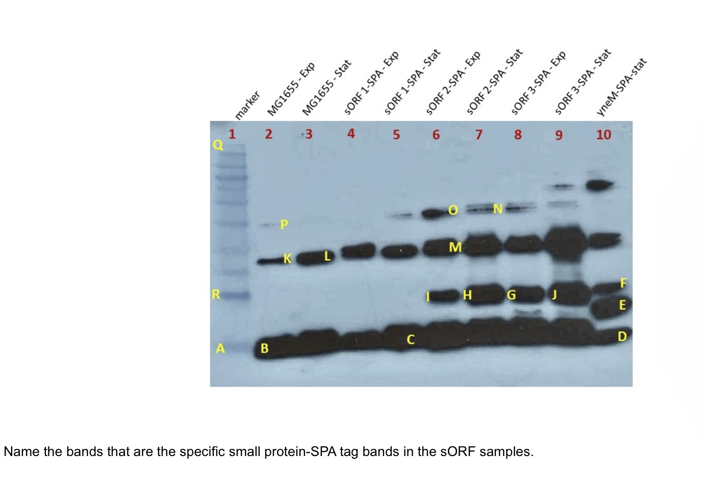 Name the bands that are the specific small | Chegg.com