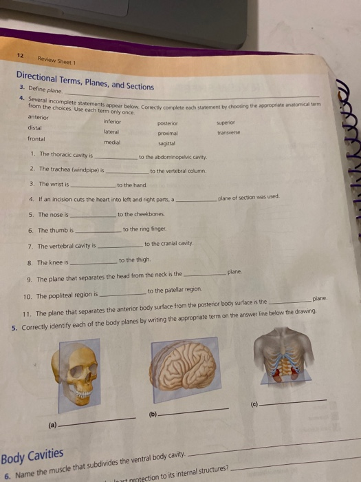 Solved 4. Several incomplete statements appear below. | Chegg.com