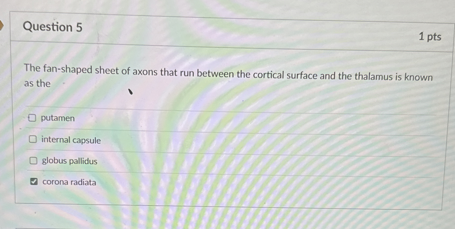 Solved Question 5The fan-shaped sheet of axons that run | Chegg.com