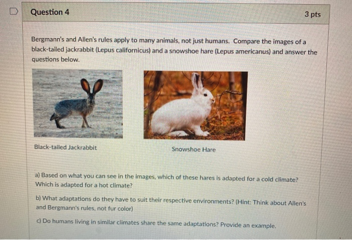 Solved Question 4 3 pts Bergmann's and Allen's rules apply | Chegg.com