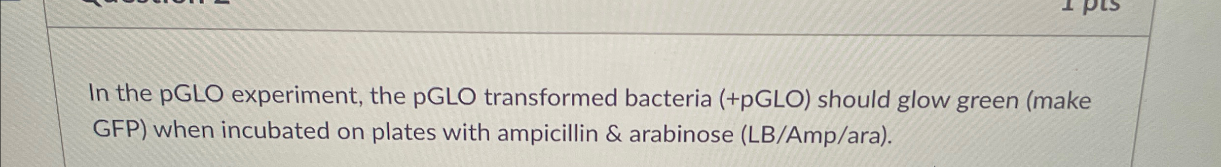 Solved In the pGLO experiment, the pGLO transformed bacteria | Chegg.com