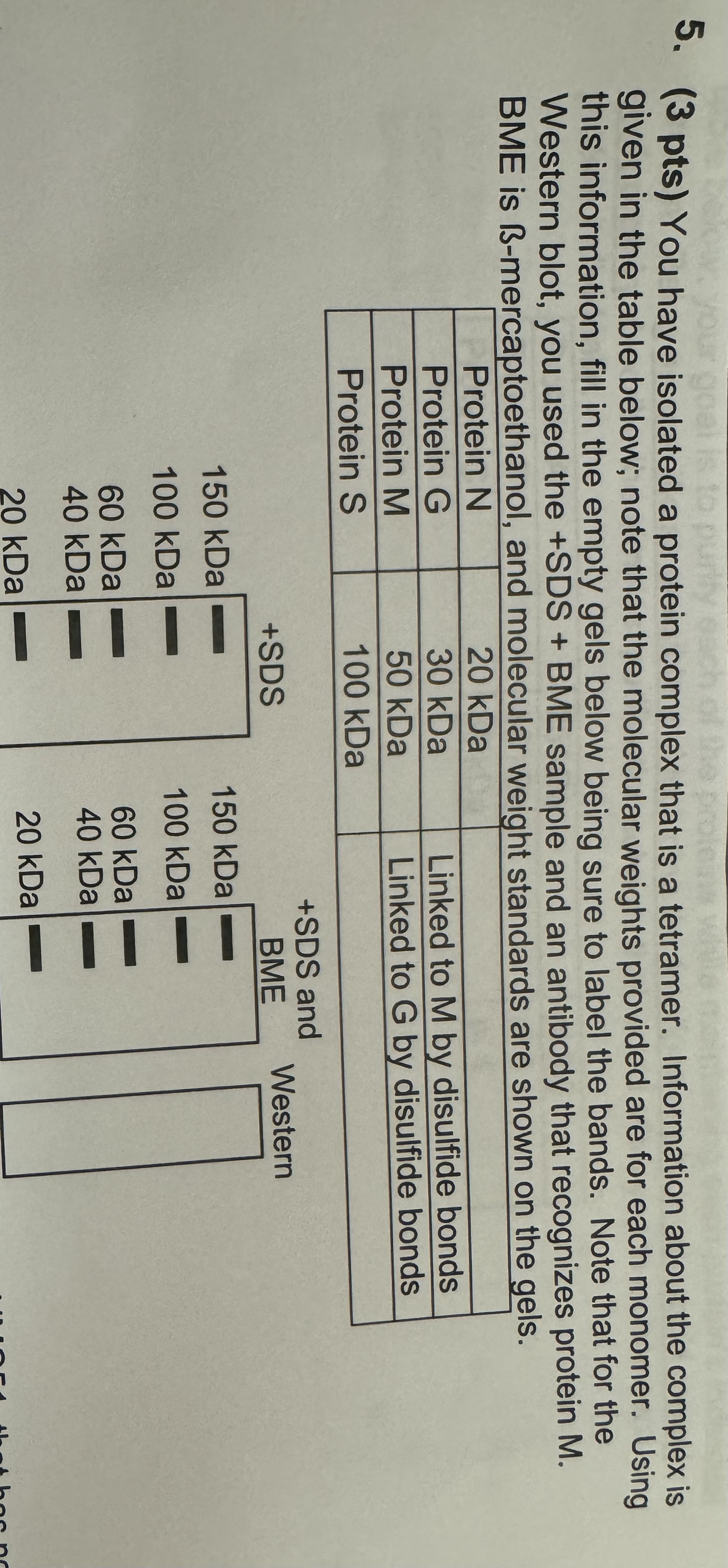 Solved 5. (3 ﻿pts) ﻿You have isolated a protein complex that | Chegg.com