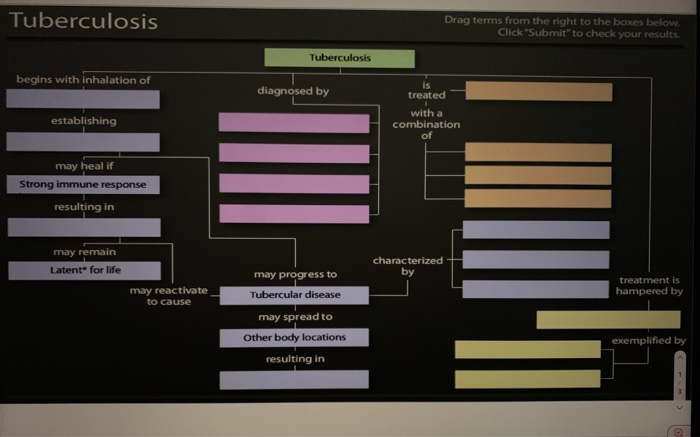 Solved Tuberculosis Drag terms from the right to the boxes | Chegg.com