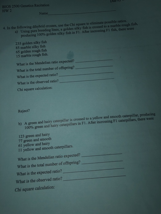 Solved BIOS 2500 Genetics Recitation HW 2 Name 4. In the | Chegg.com