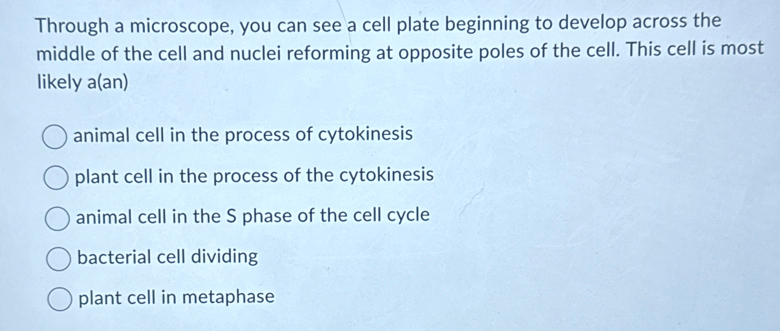 Solved Through a microscope, you can see a cell plate | Chegg.com