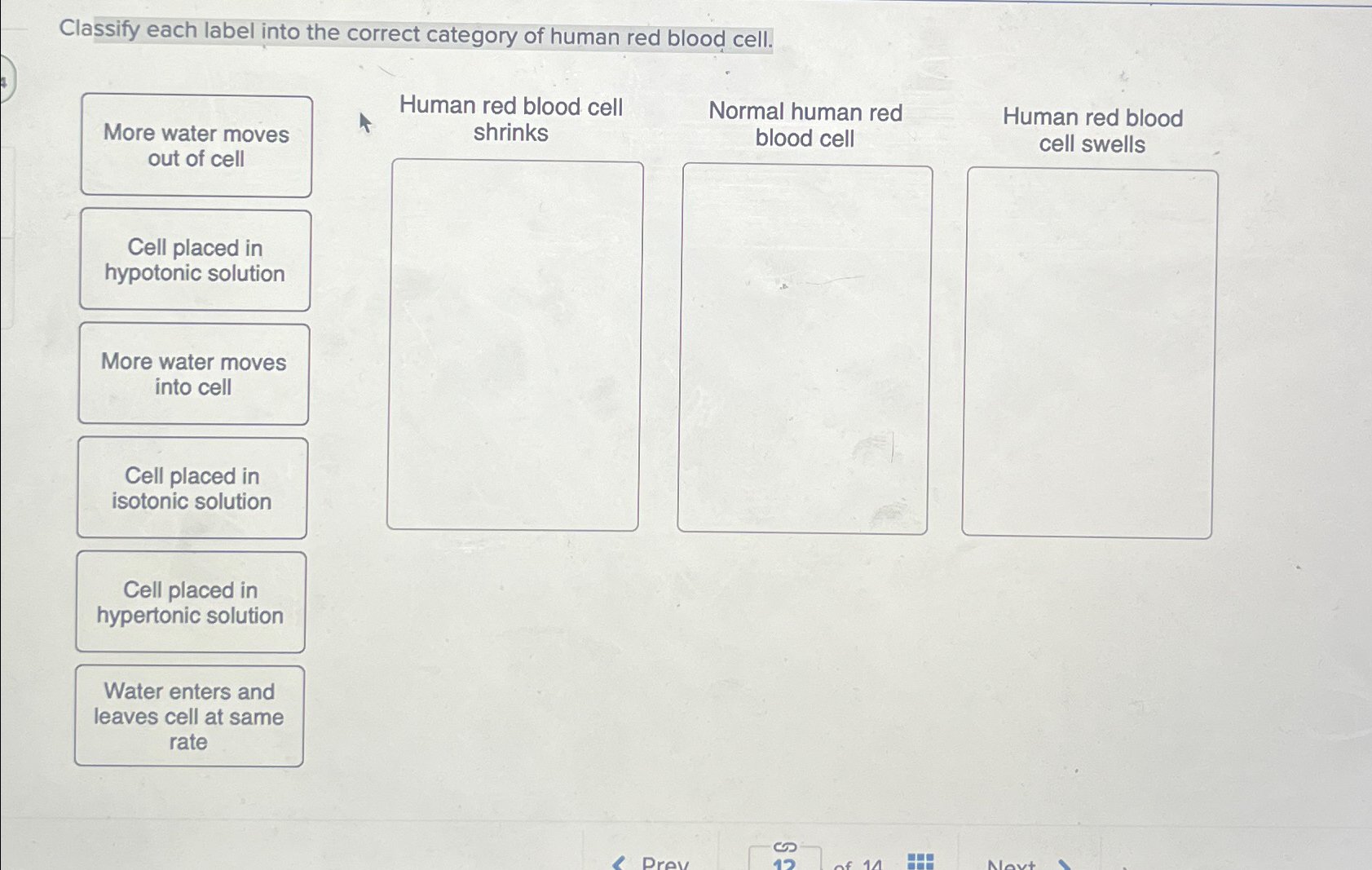 Solved Classify each label into the correct category of | Chegg.com