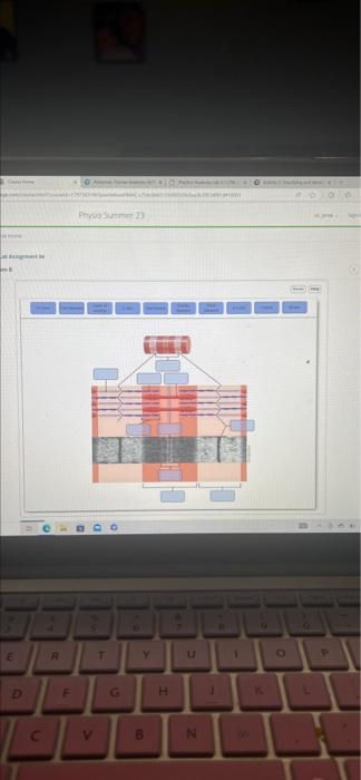 Course Home se Home Lab Assignment #4 em 8 | Chegg.com