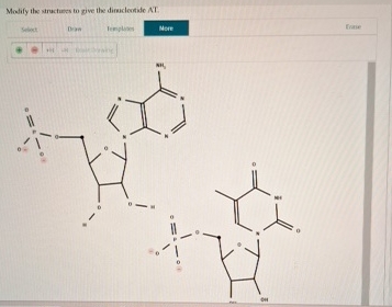 Solved modify the structures to give the dinucleotide AT. | Chegg.com