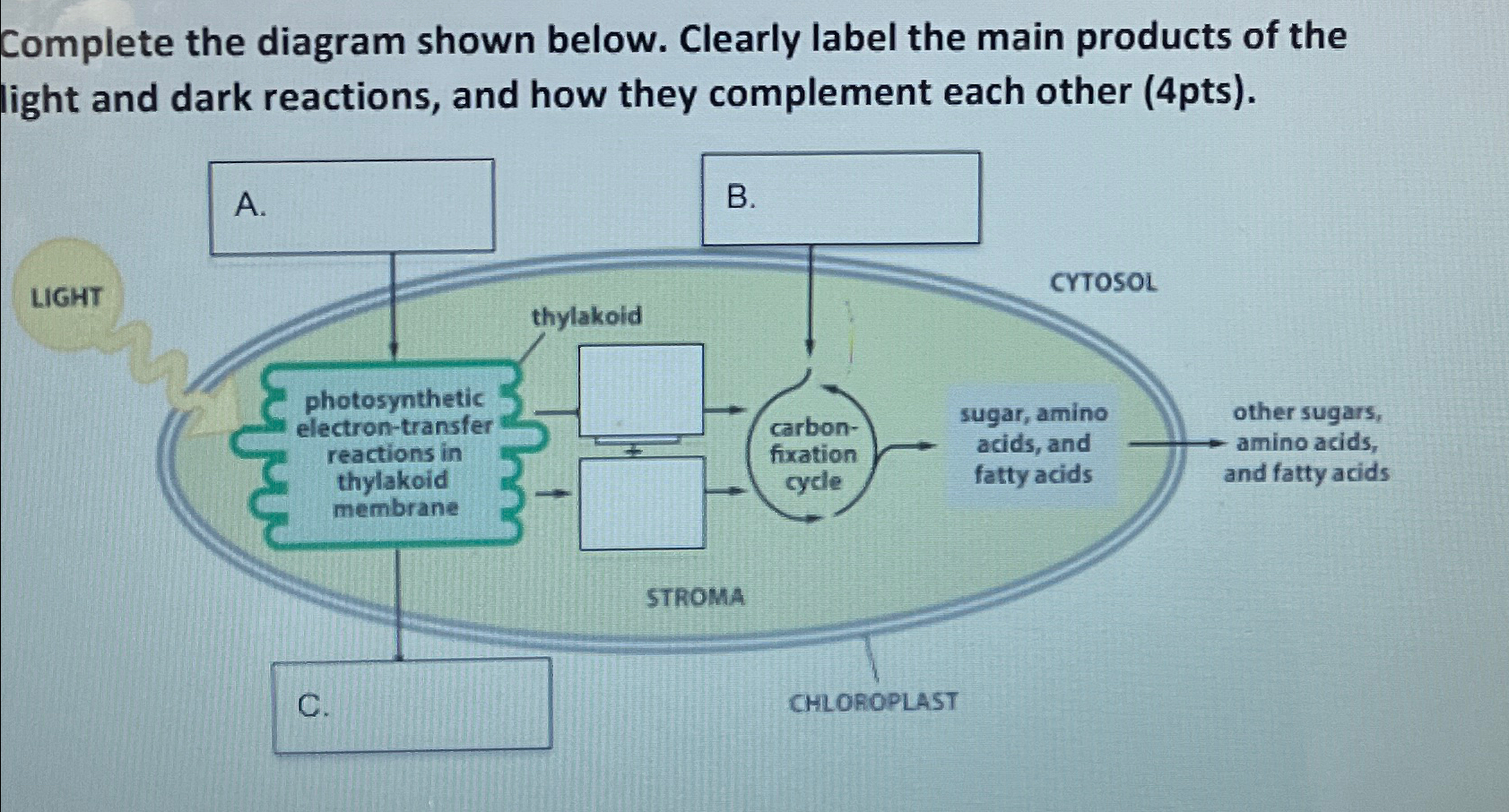 Solved Complete the diagram shown below. Clearly label the | Chegg.com