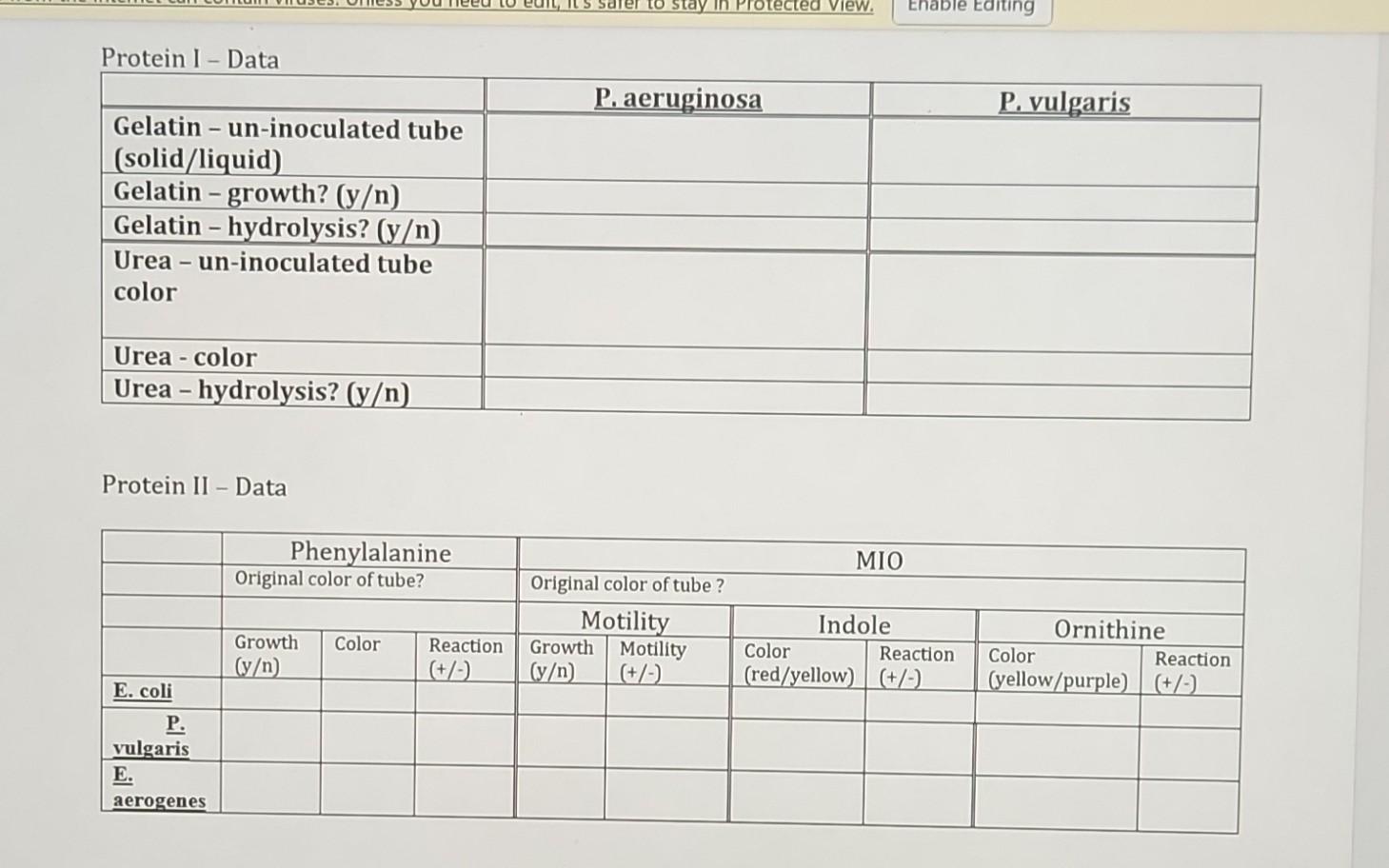 UREA AGAR P. vulgaris P. aeruginosa Uninoculated | Chegg.com