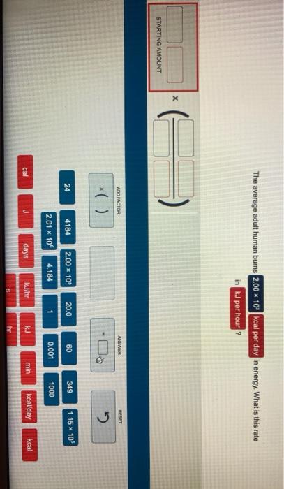 Solved The average adult human bums 2.00 - 109 kcal per day | Chegg.com