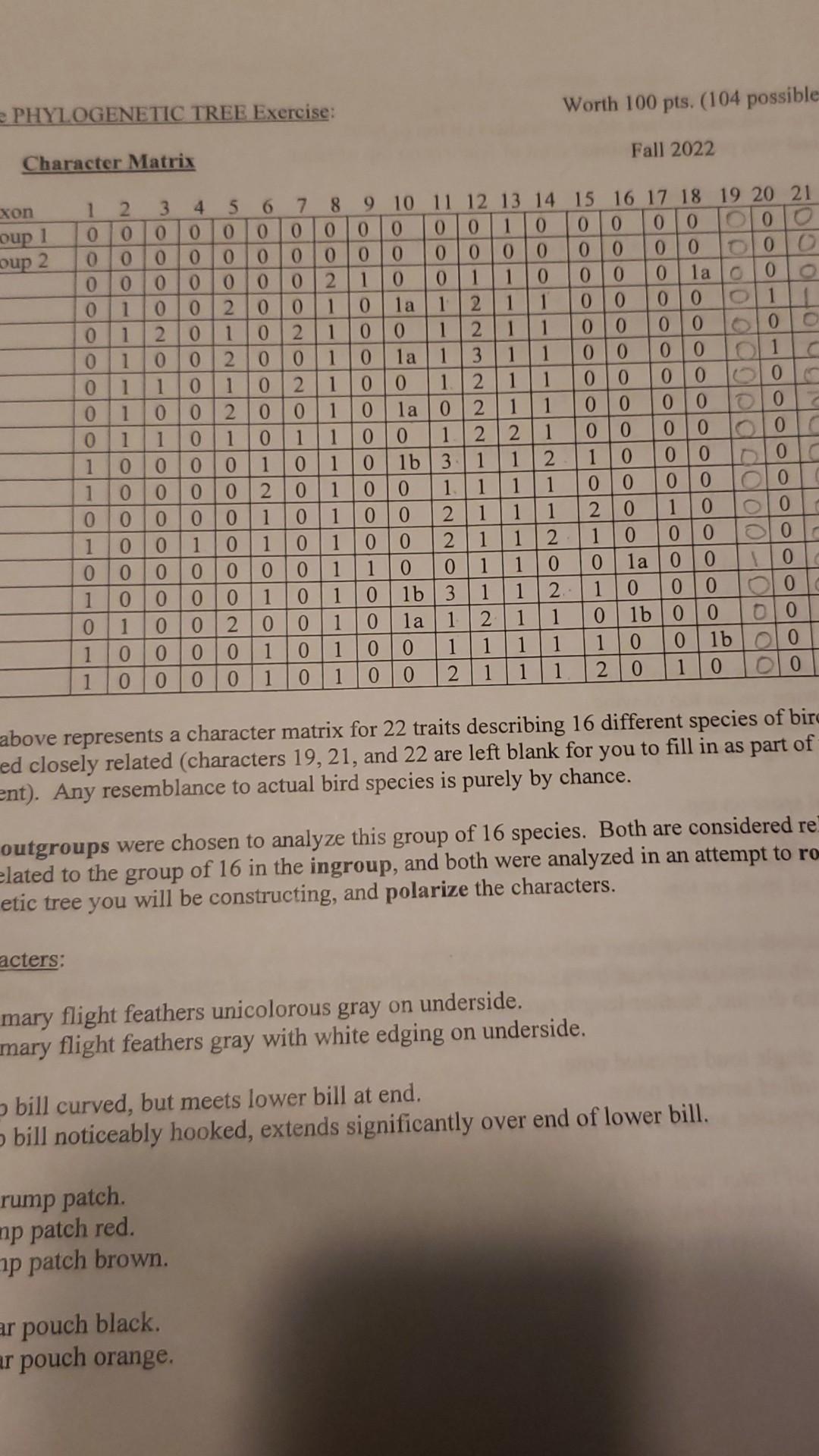 above represents a character matrix for 22 traits | Chegg.com