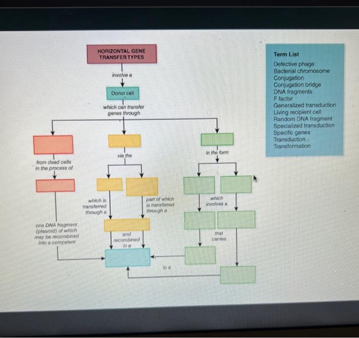 Solved HORIZONTAL GENE TRANSFER TYPES involve a Donor cell | Chegg.com