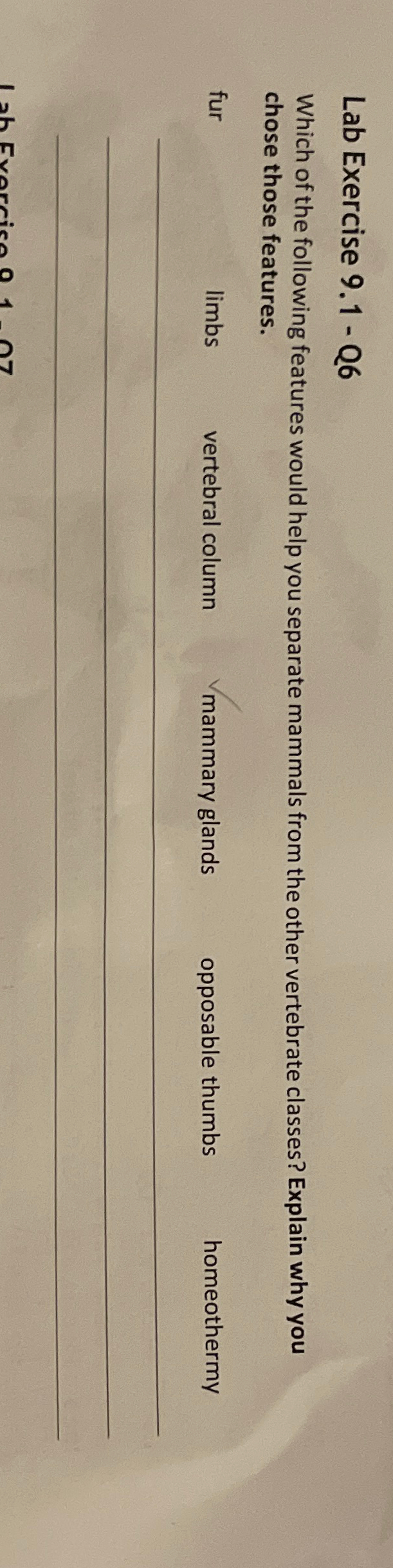 Solved Lab Exercise 9.1 - ﻿Q6Which of the following features | Chegg.com