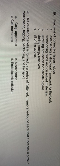 Solved 19. Functions of connective tissue include a. | Chegg.com