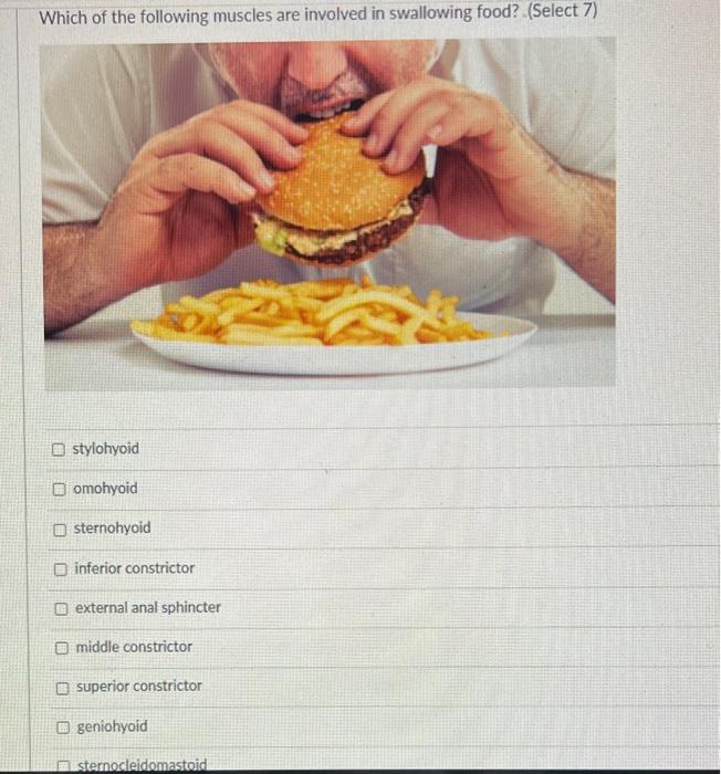 Solved These are muscles used in mastication (biting and | Chegg.com