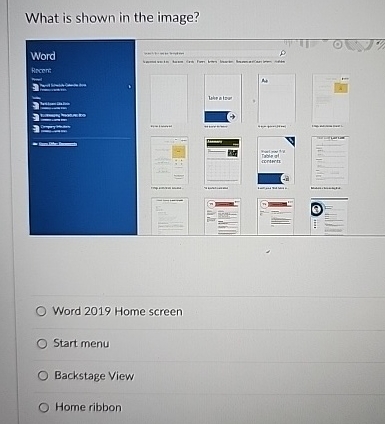 Solved What is shown in the image? ﻿Word 2019 ﻿Home | Chegg.com