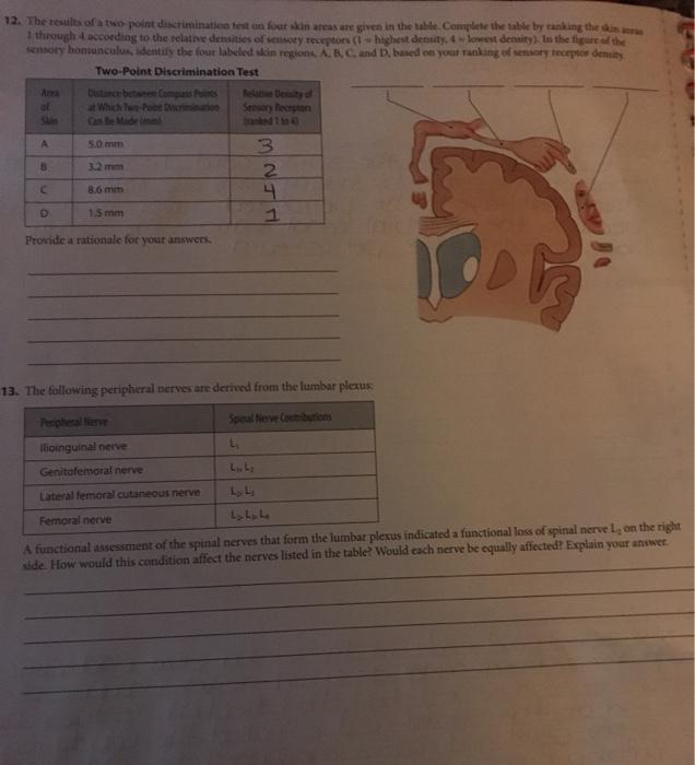 Solved 12. The results of two point discrimination test on | Chegg.com