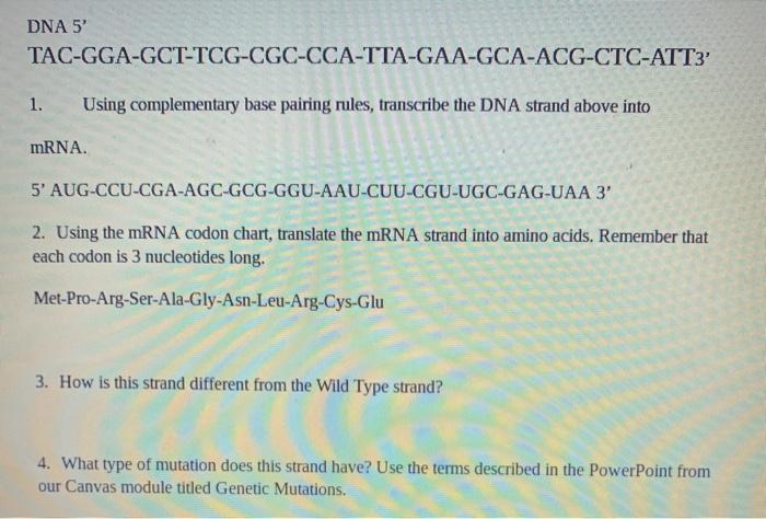 Solved DNA 5 | Chegg.com