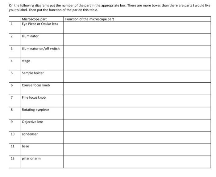 Solved Nikon Parts of the compound microscope Write the | Chegg.com
