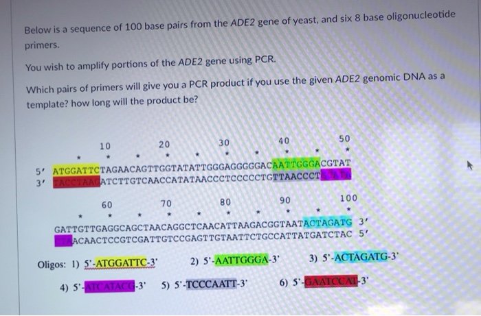 Below is a sequence of 100 base pairs from the ADE2 | Chegg.com